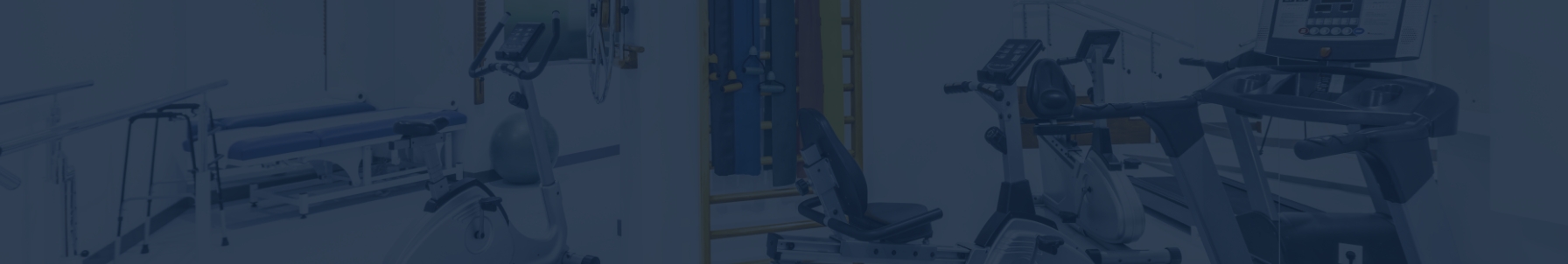 Physical Therapists - Peter Howard