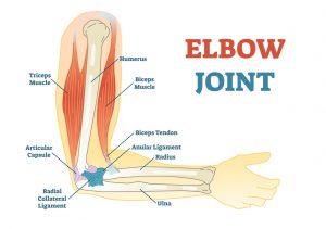 Hyperextended Elbow - Peter Howard