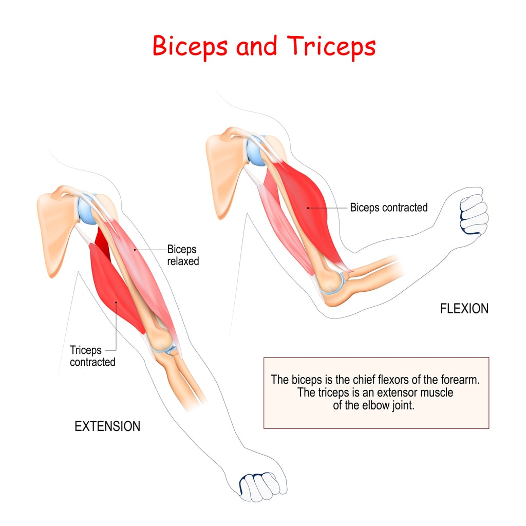 Triceps Tendonitis - Peter Howard